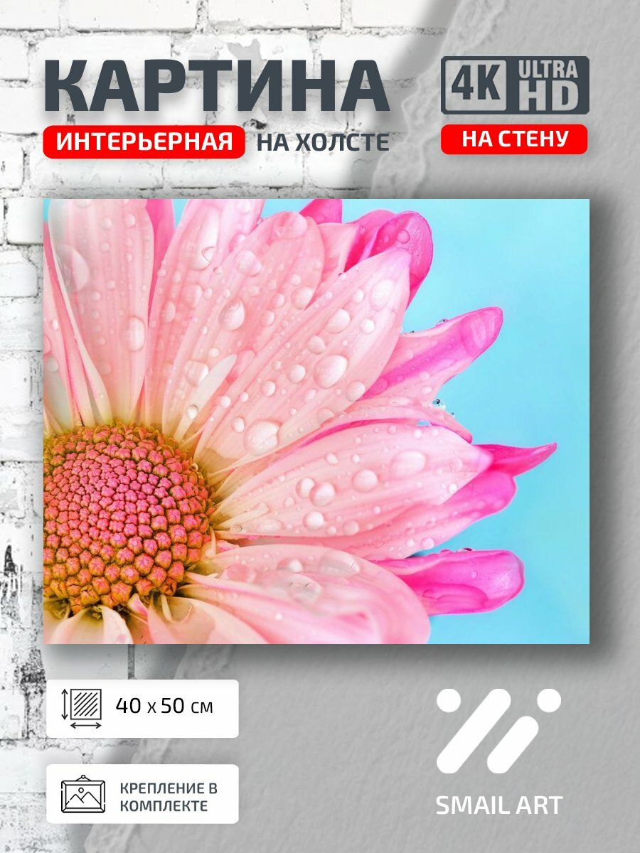 Картина на холсте интерьерная 40 на 50 на стену Фон Mood для студии атмосфера интерьер