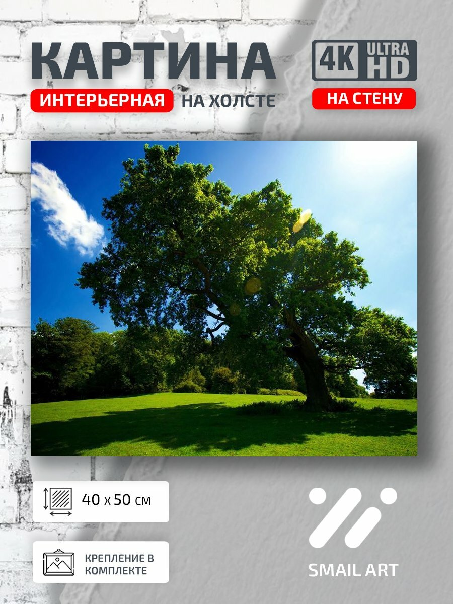 Картина на холсте интерьерная 40 на 50 на стену Дерево Landscape для офиса пейзаж интерьер