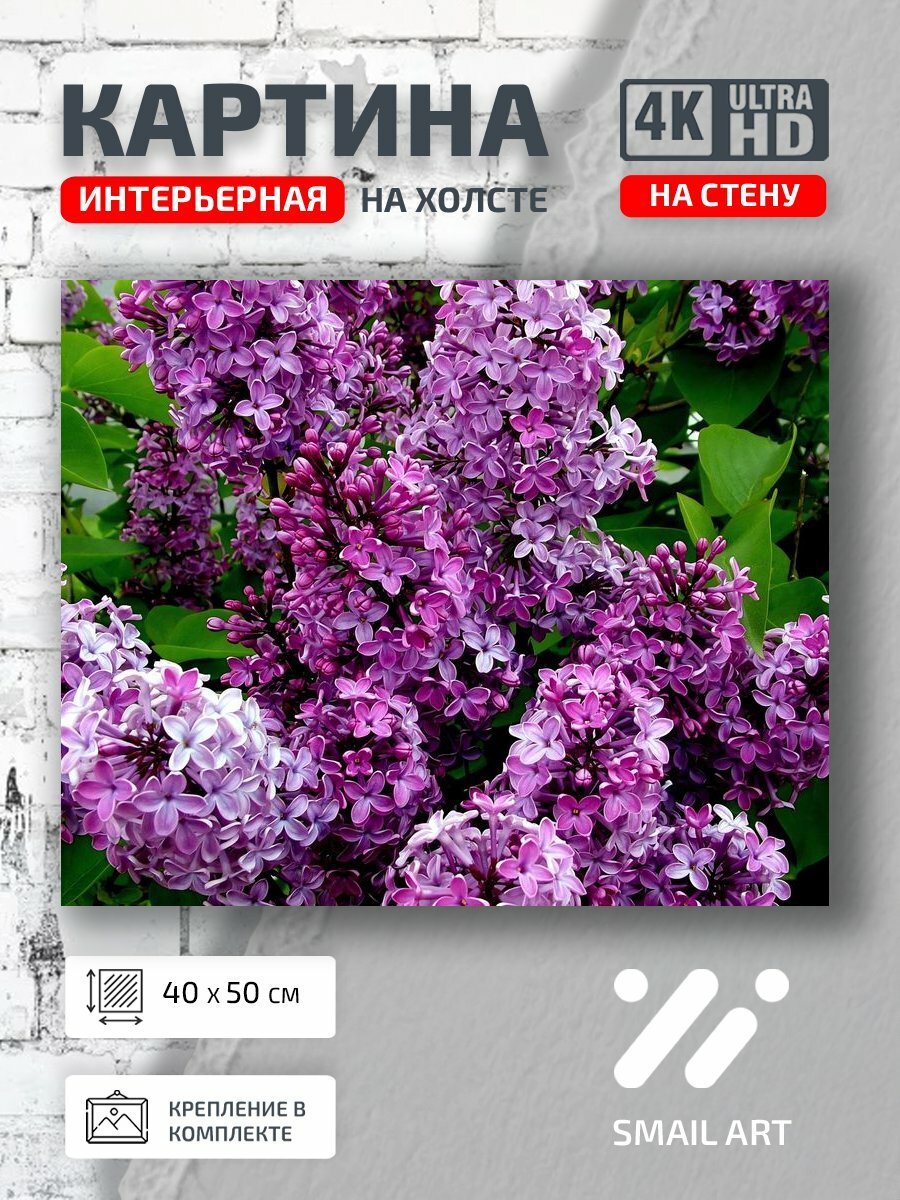 Картина на холсте интерьерная 40 на 50 на стену Сирени Landscape для гостиной пейзаж декор