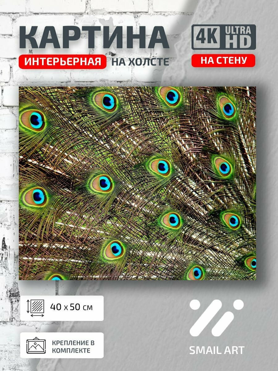 Картина на холсте интерьерная 40 на 50 на стену Перья feathers для студии атмосфера декор