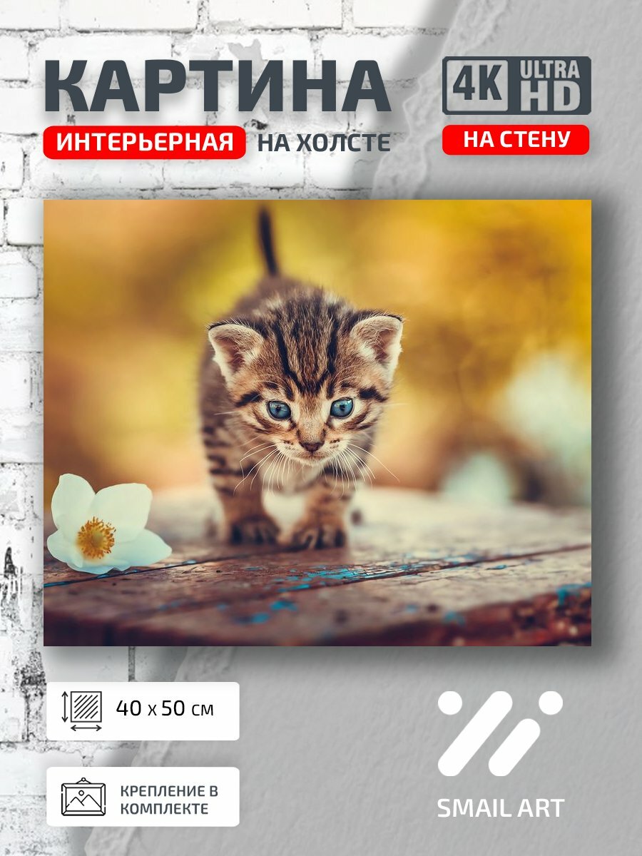 Картина на холсте интерьерная 40 на 50 на стену Цветок Animal для кафе animal style декор