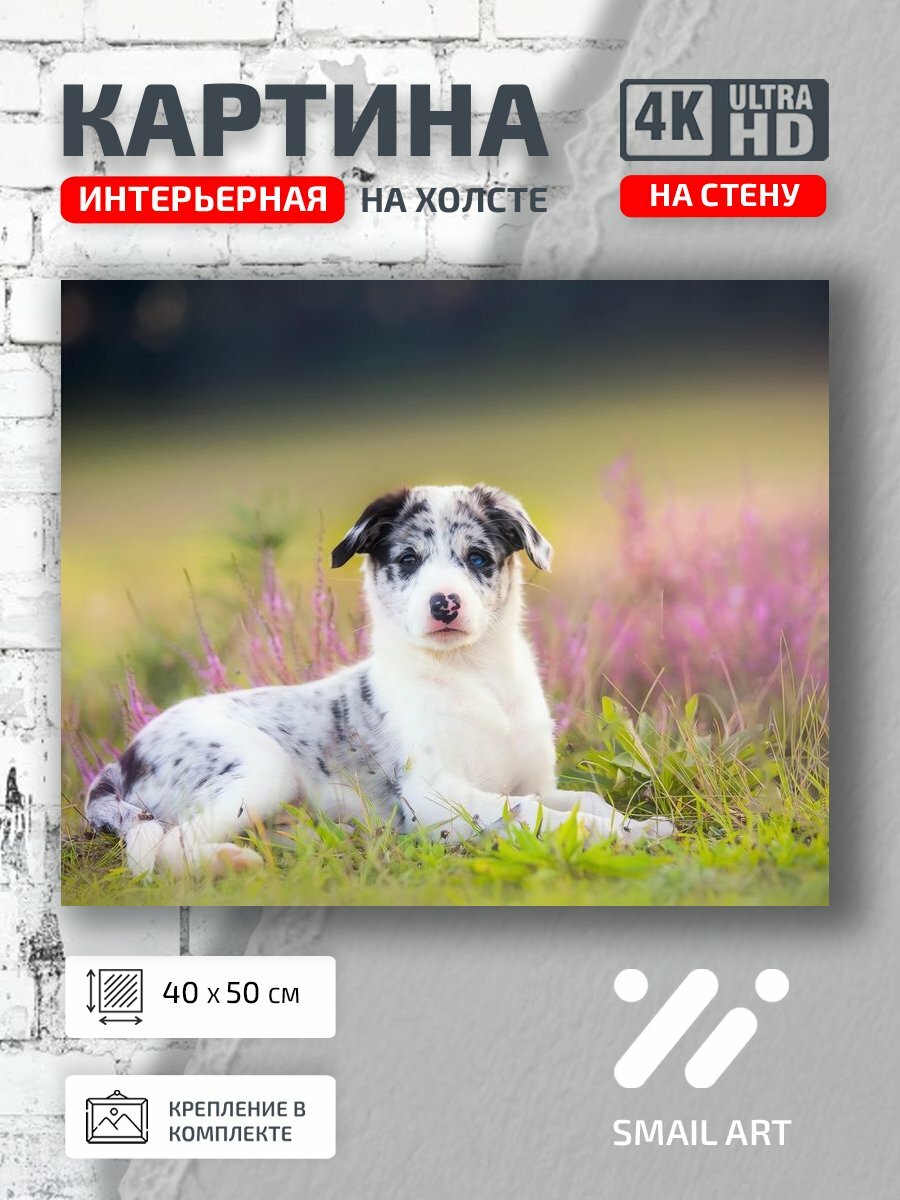 Картина на холсте интерьерная 40 на 50 на стену Поляна Mood для кабинета атмосфера интерьер