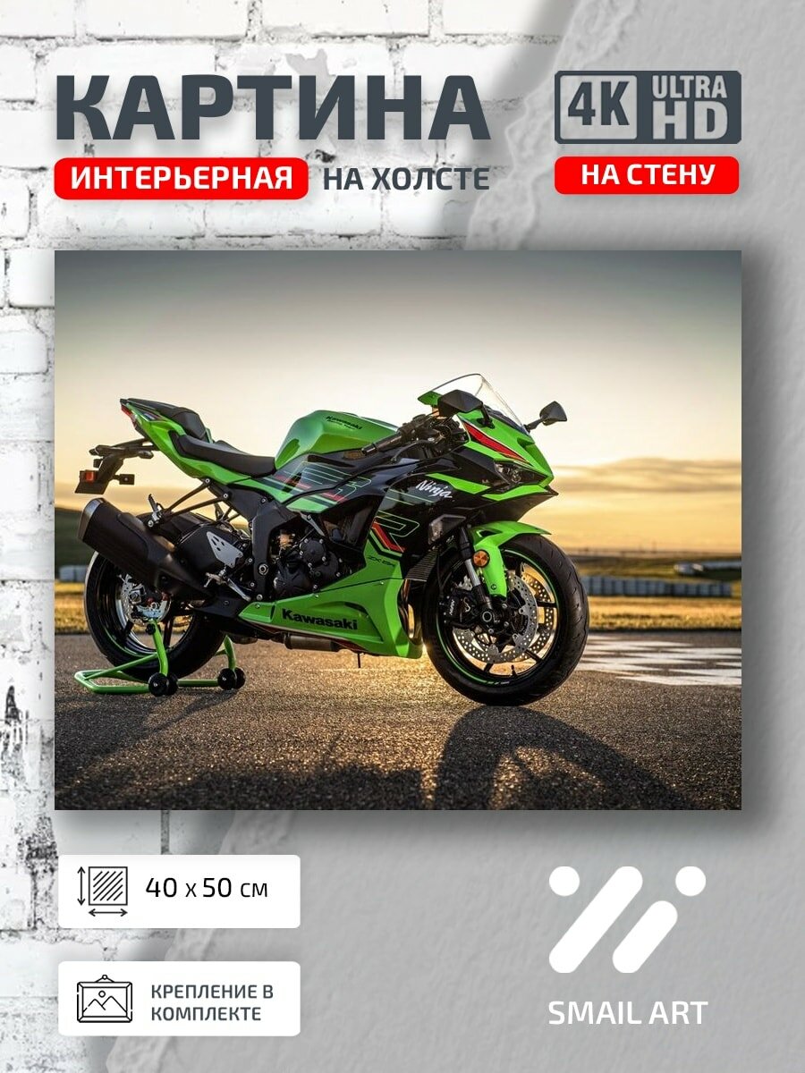 Картина на холсте интерьерная 40 на 50 на стену ZX 6R для гостиной атмосфера