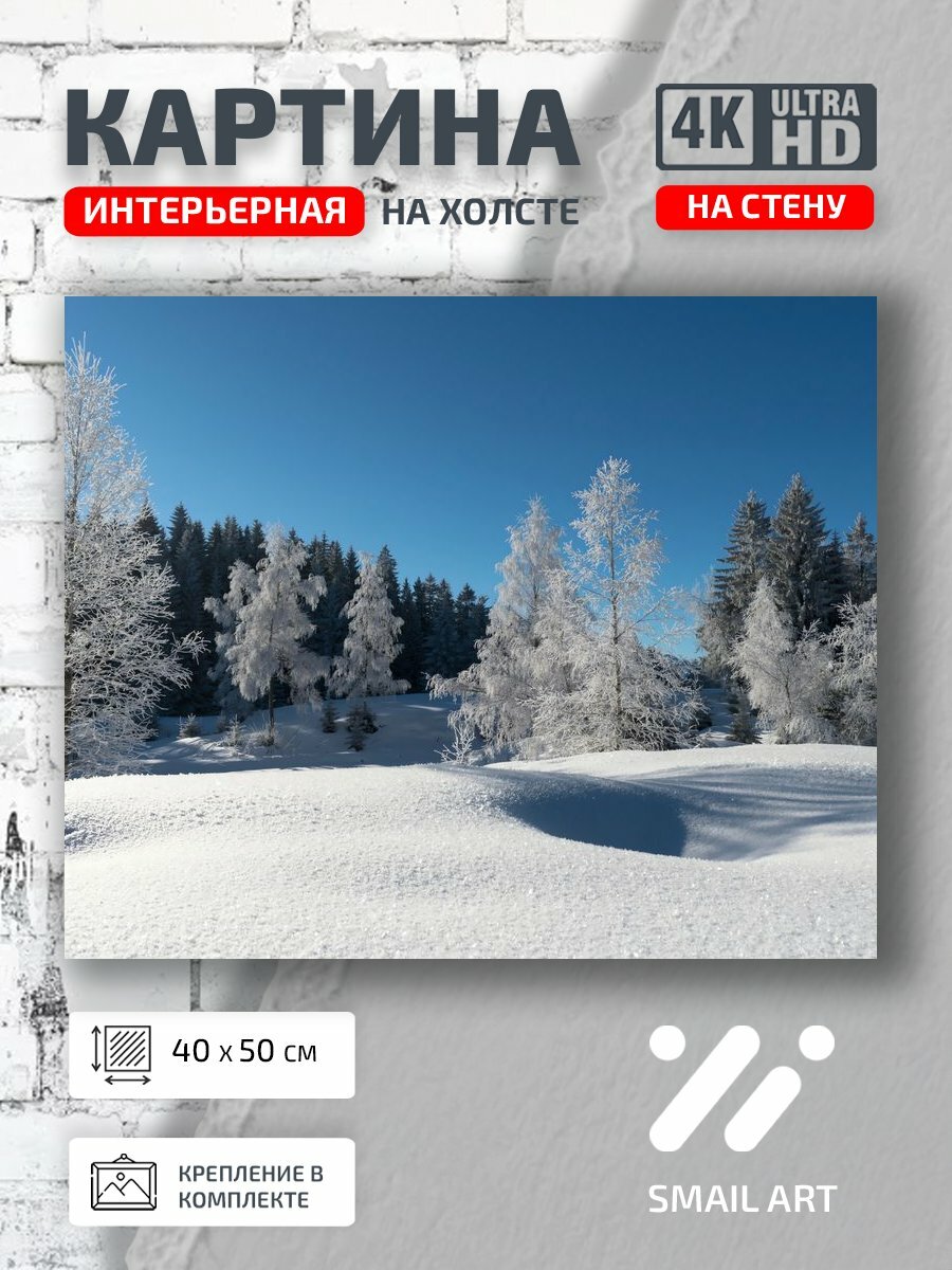 Картина на холсте интерьерная 40 на 50 на стену Зима Landscape для гостиной пейзаж интерьер