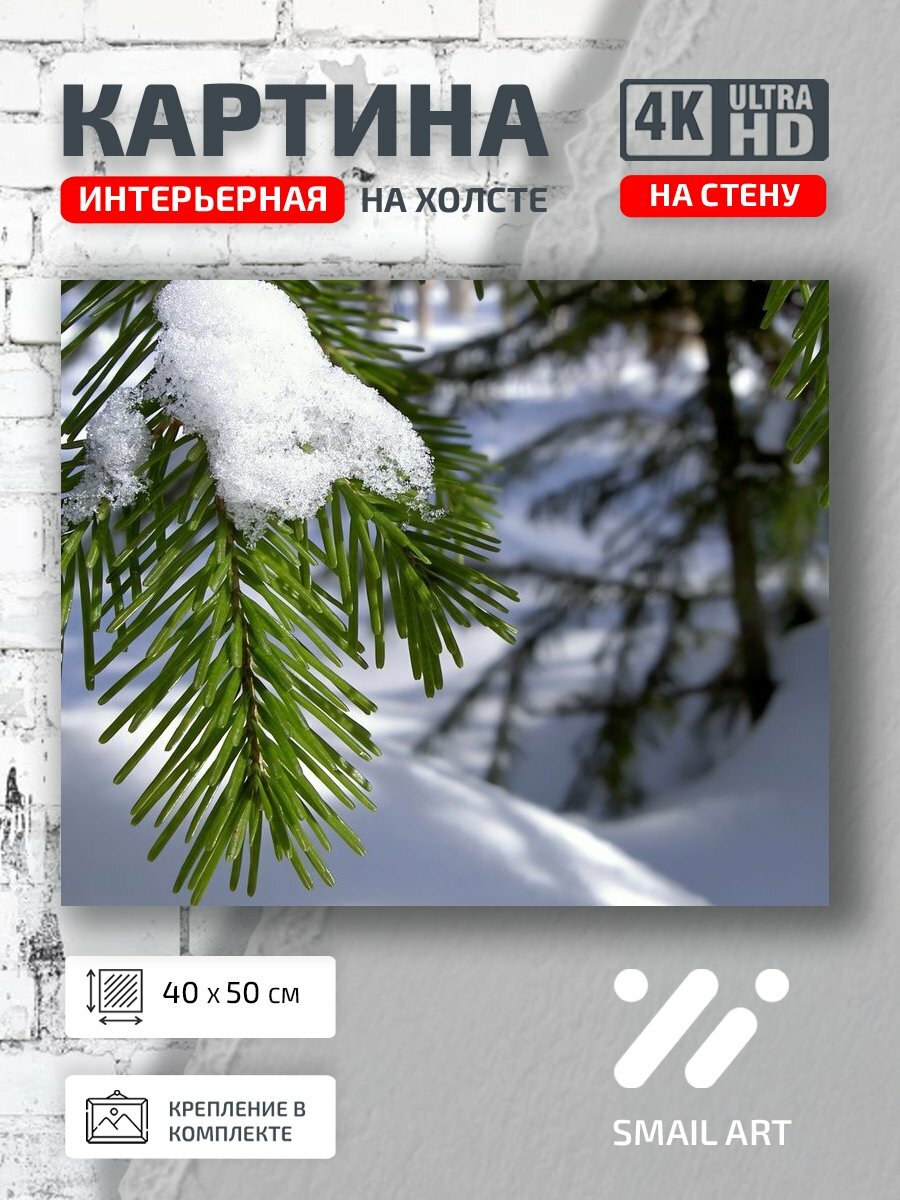 Картина на холсте интерьерная 40 на 50 на стену Зима Landscape для кафе пейзаж интерьер