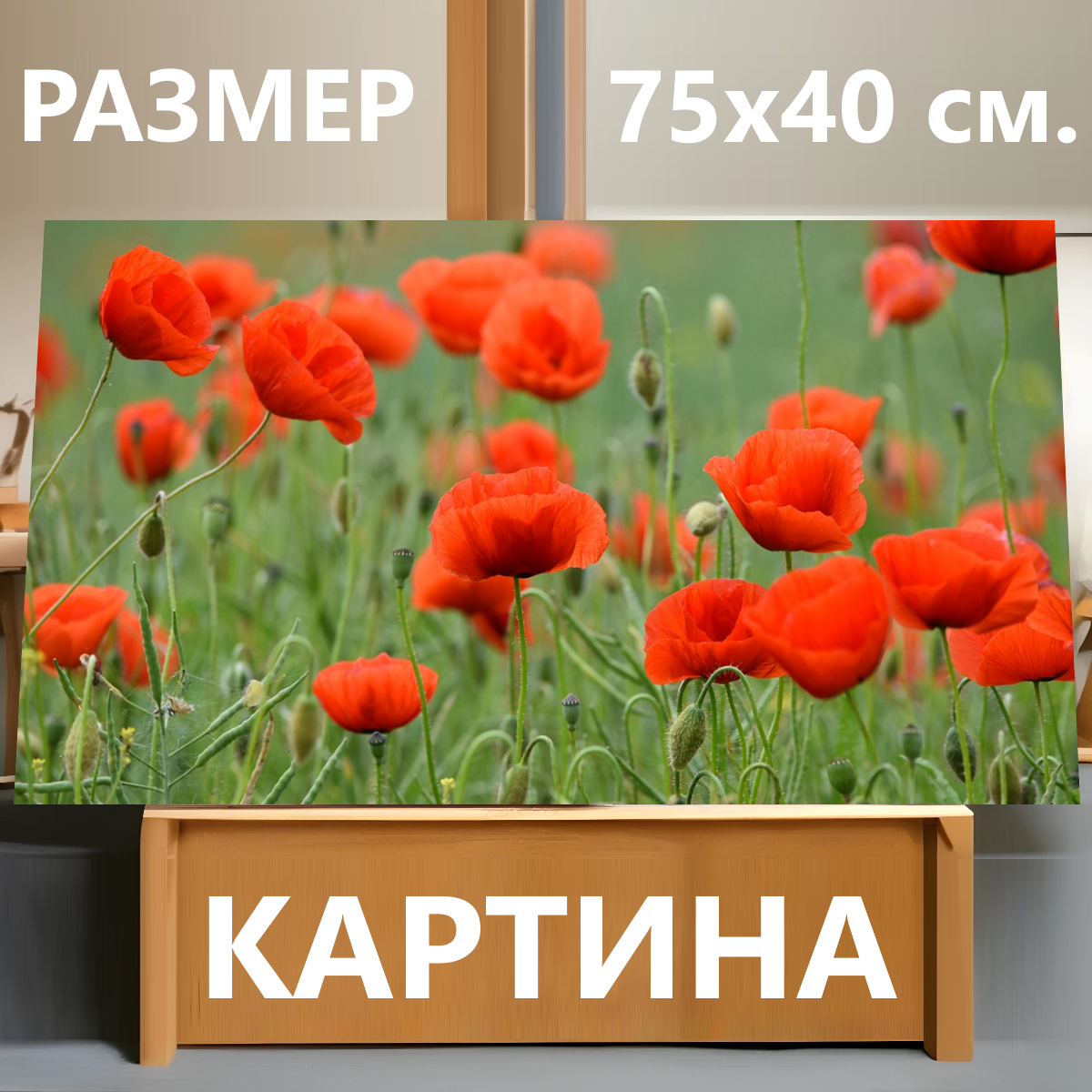 Картина на холсте "Маки, красные маки, поле маков" на подрамнике 75х40 см. для интерьера