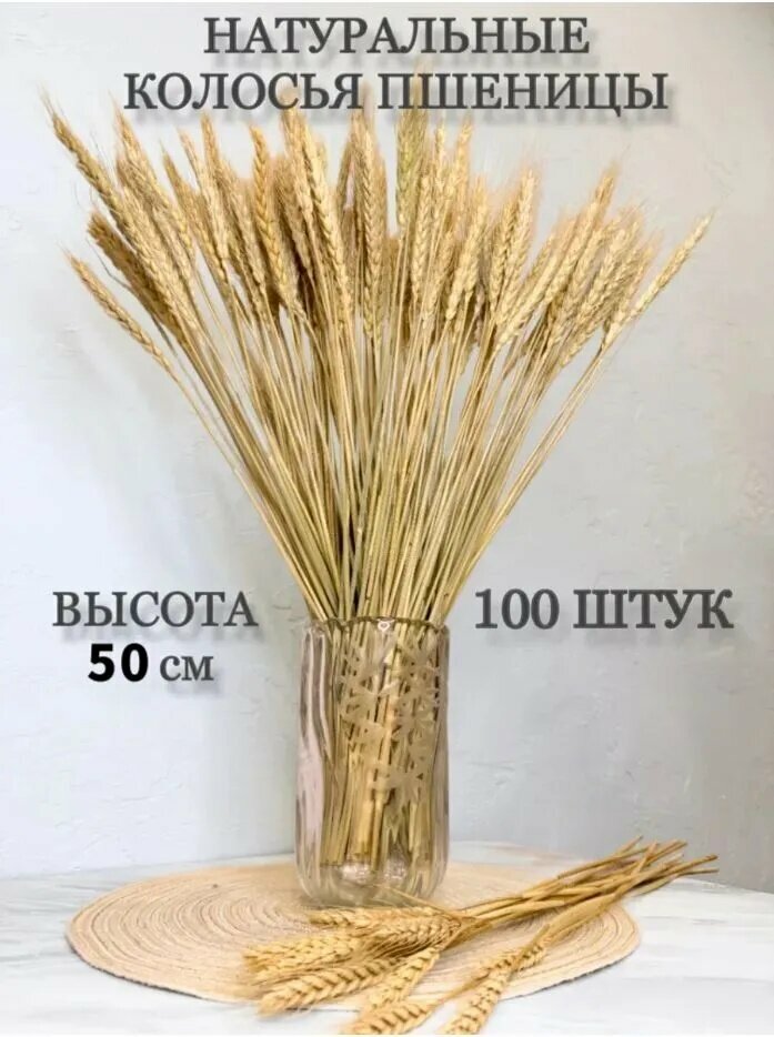 Сухоцветы Пшеница, 50 см, 120 гр, 100 шт