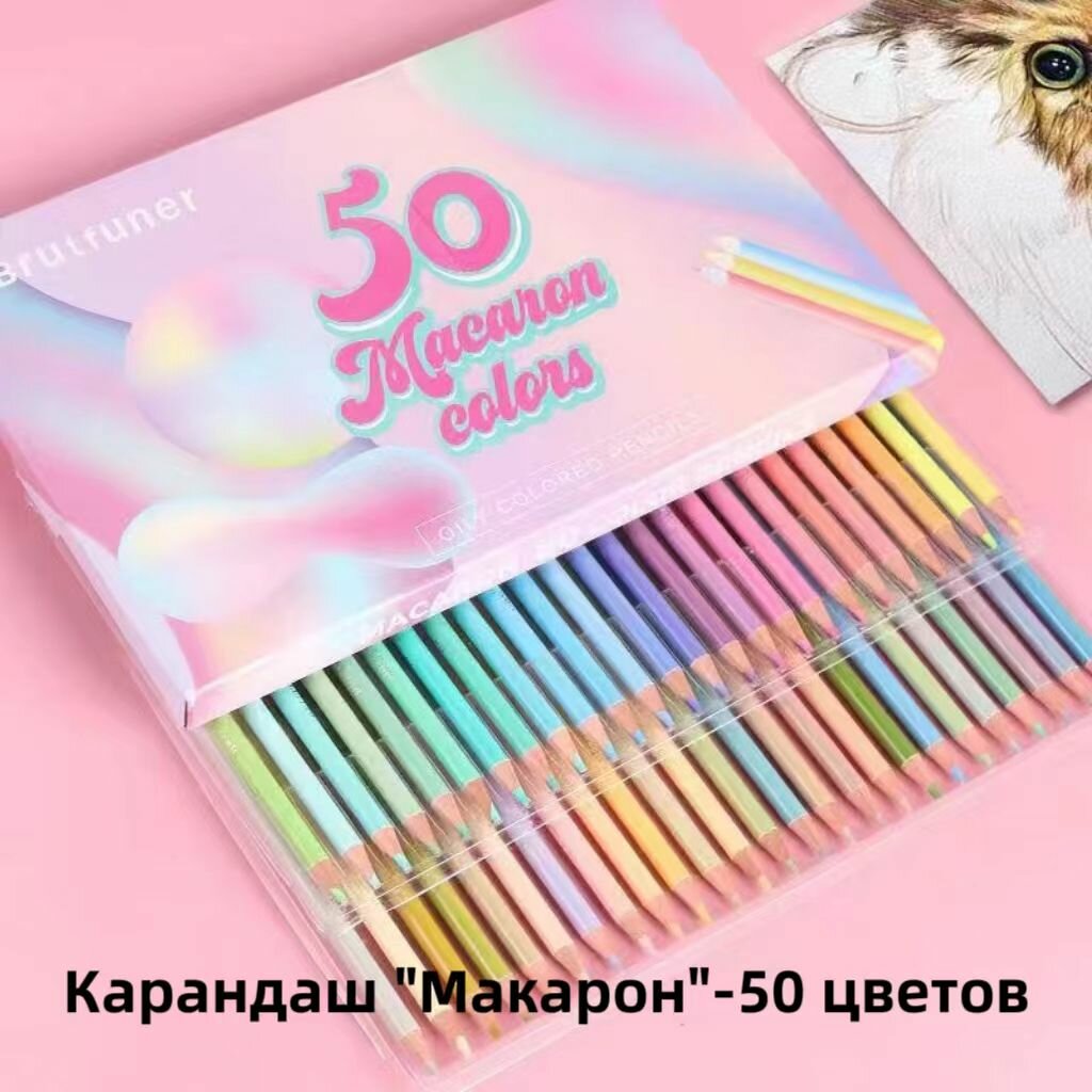 Цветные карандаши Brutfuner, цветные карандаши Macaron, учащиеся художественной школы рисуют цветными карандашами.