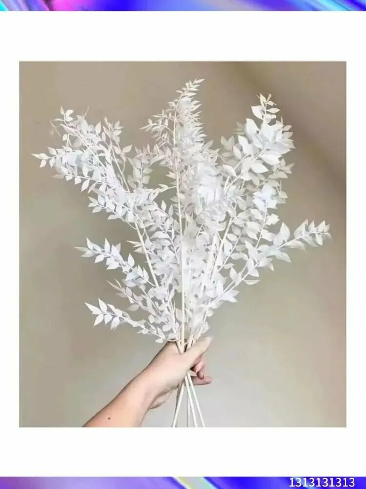 Сухоцветы Рускус, 50 см, 50 гр