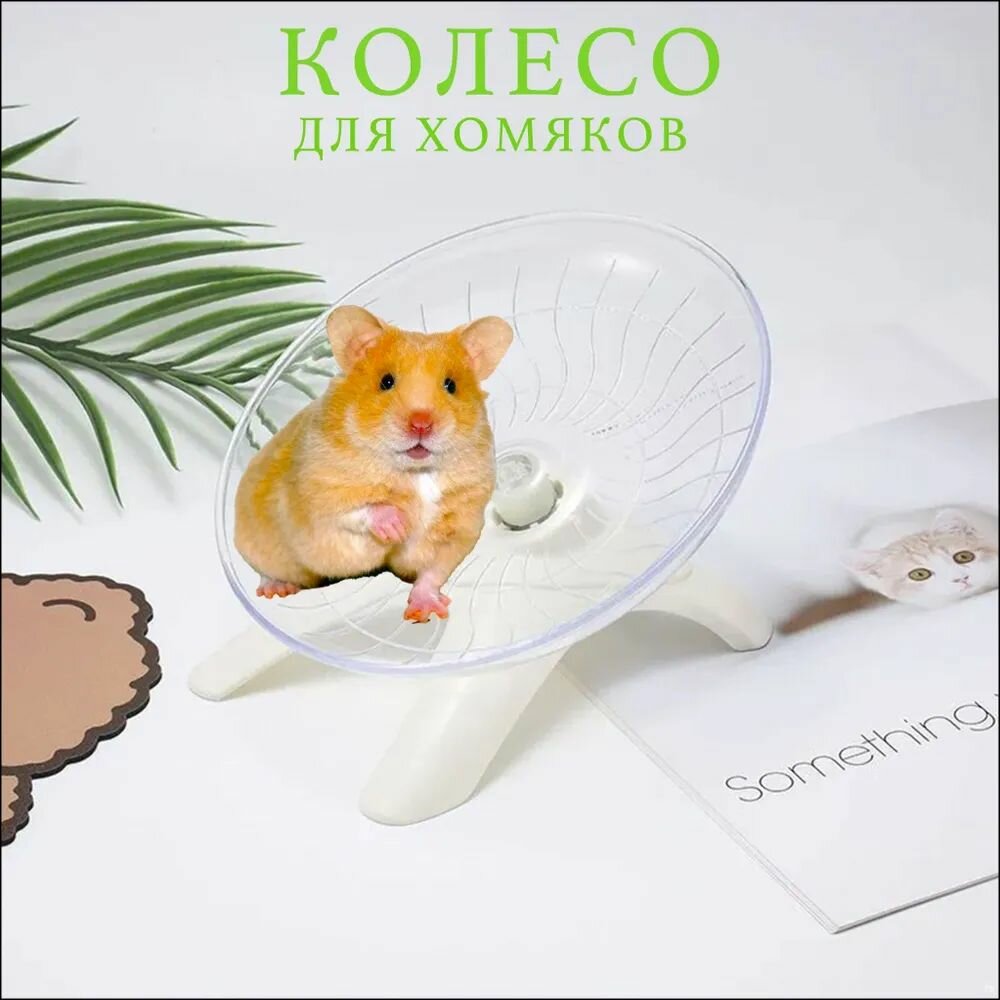 Беговое колесо для животных
