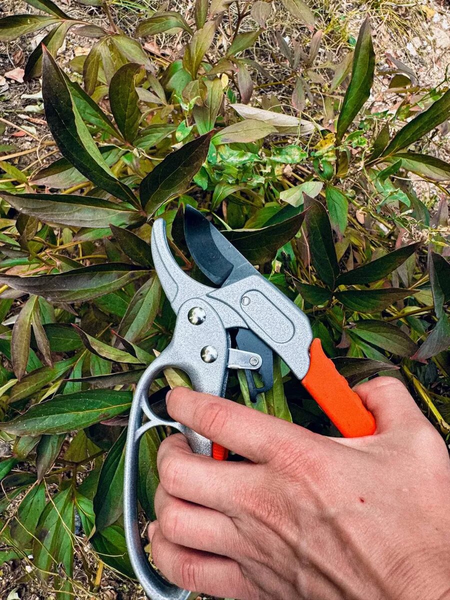 Секатор садовый профессиональный, с загнутыми лезвиями и храповиком