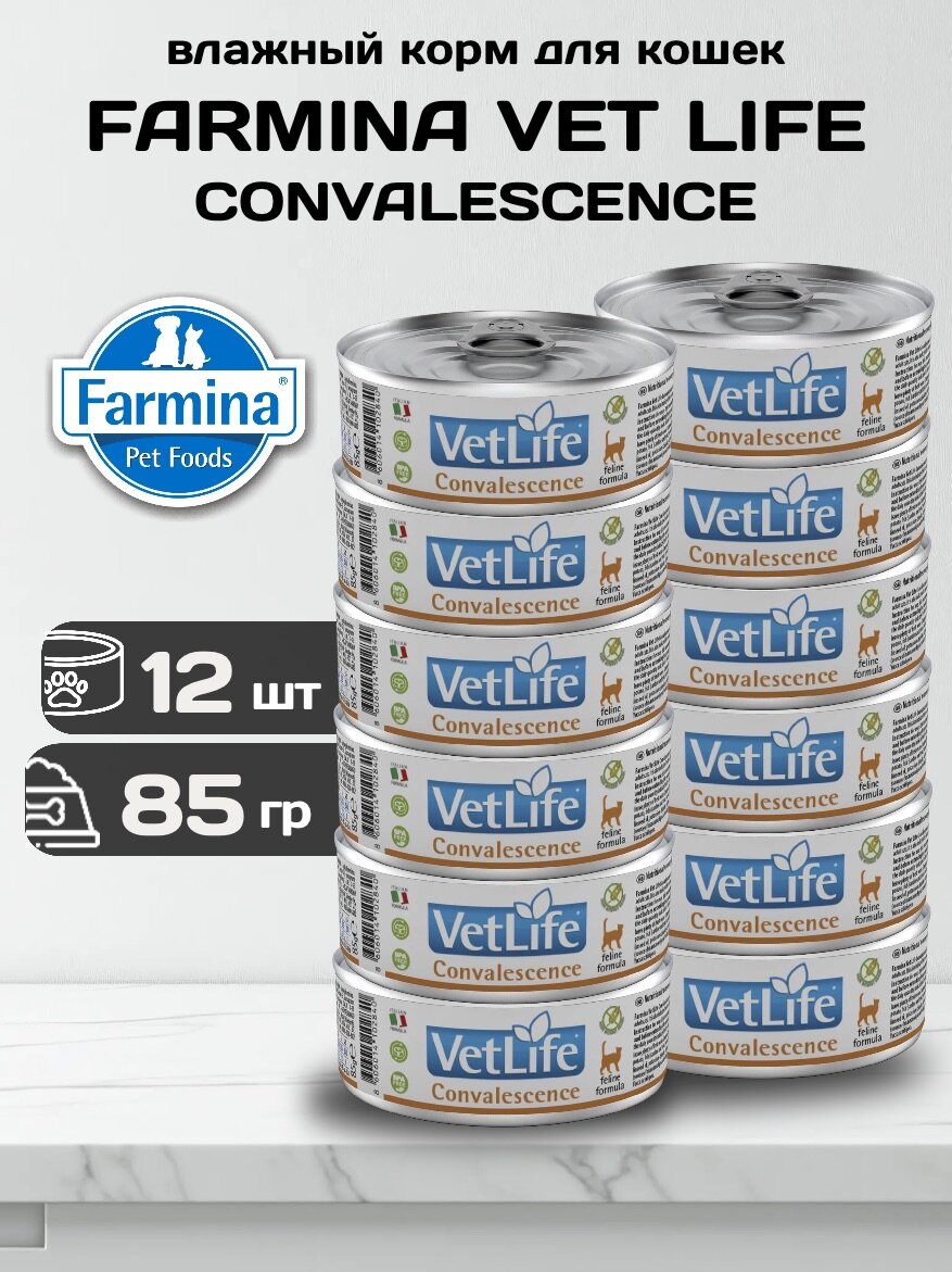 Влажный корм для кошек Farmina Vet Life Cat Convalescence в период выздоровления - 85 гр х 12 шт