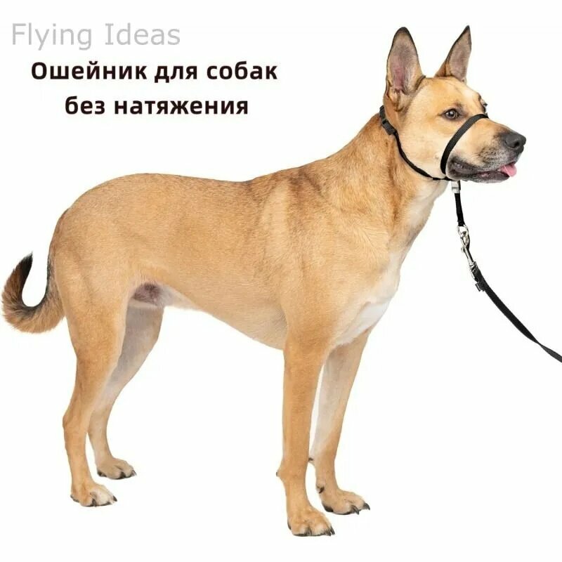 Недоуздок для крупных и средних собак -M