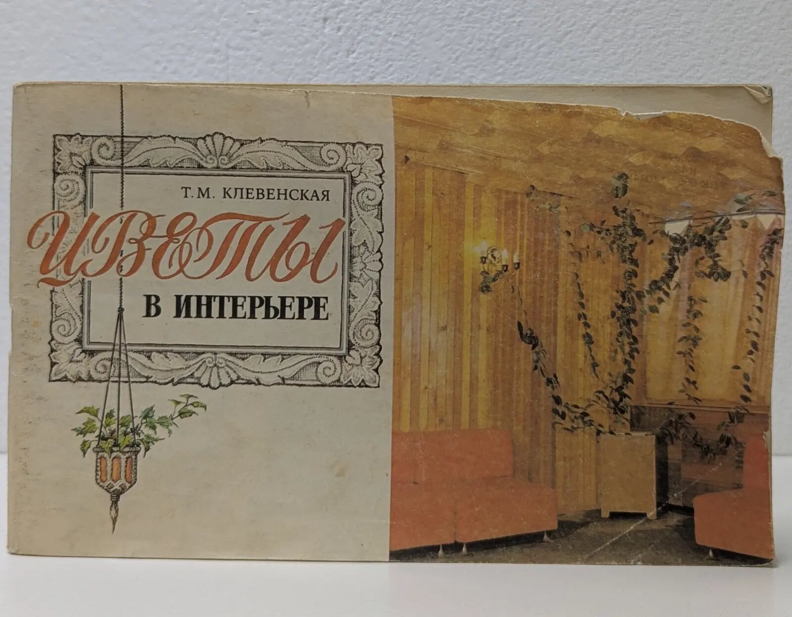 Цветы в интерьере Клевенская Татьяна Марковна 1989