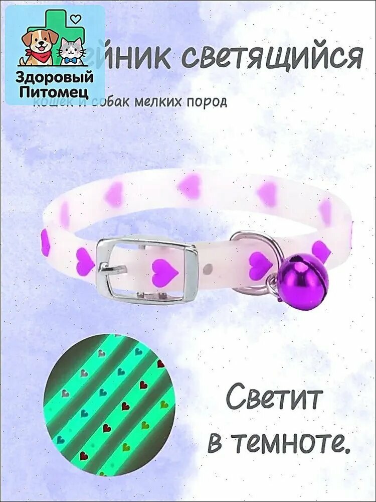 Ошейник светящийся для кошек и собак мелких пород