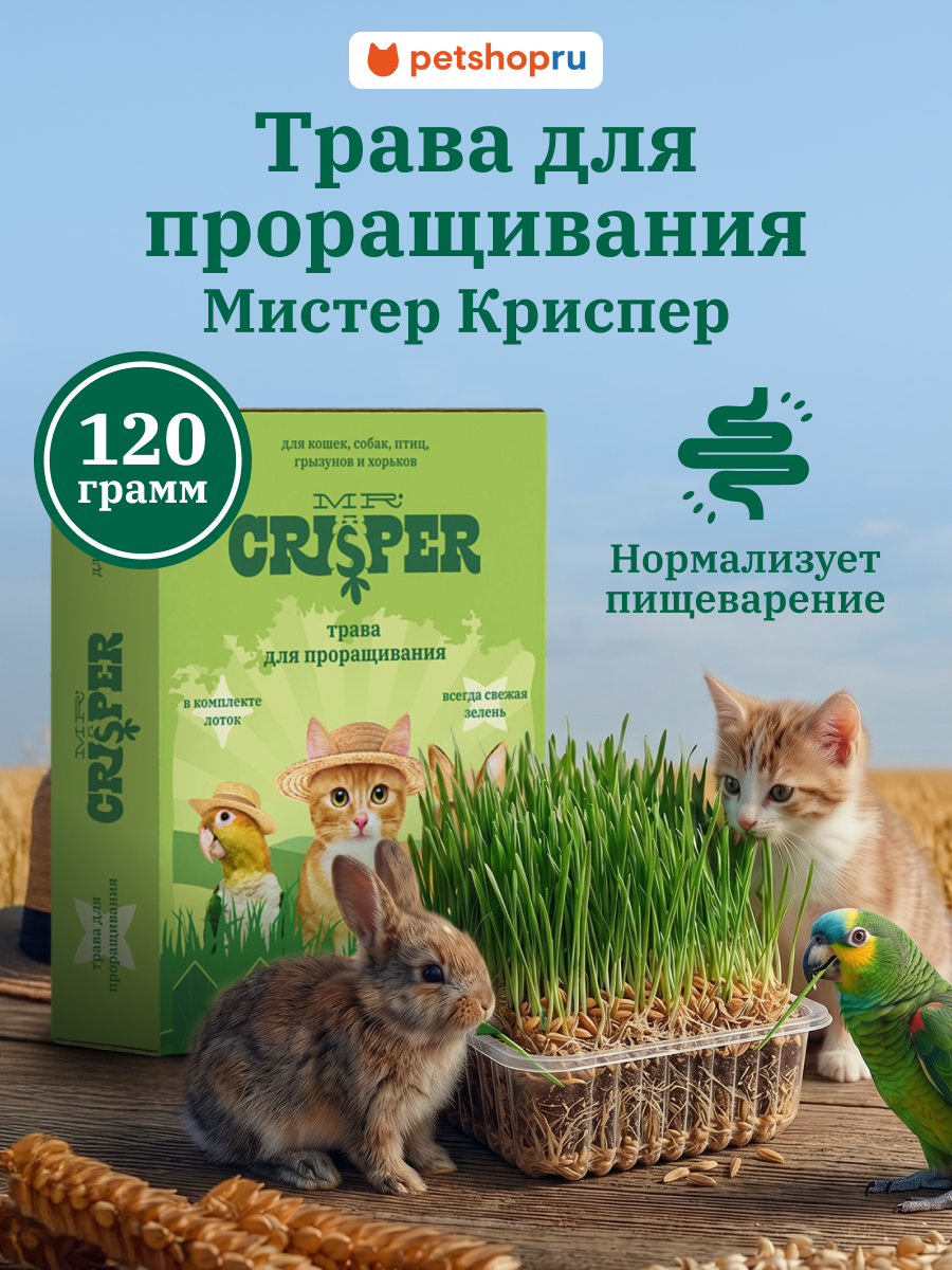 MR.Crisper Трава для кошек, птиц и кроликов Набор для проращивания