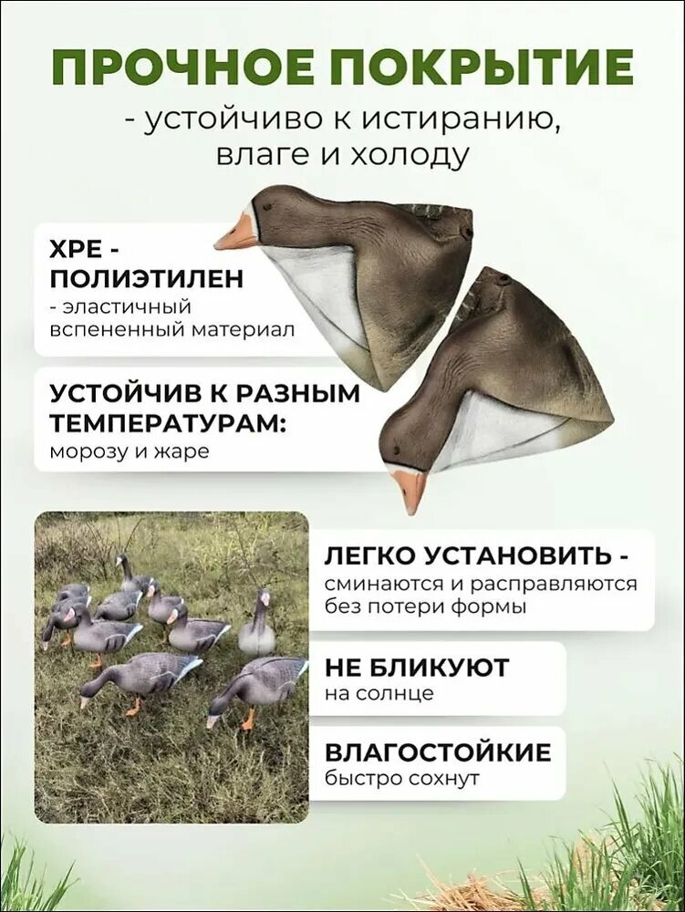 Чучело — фото 1