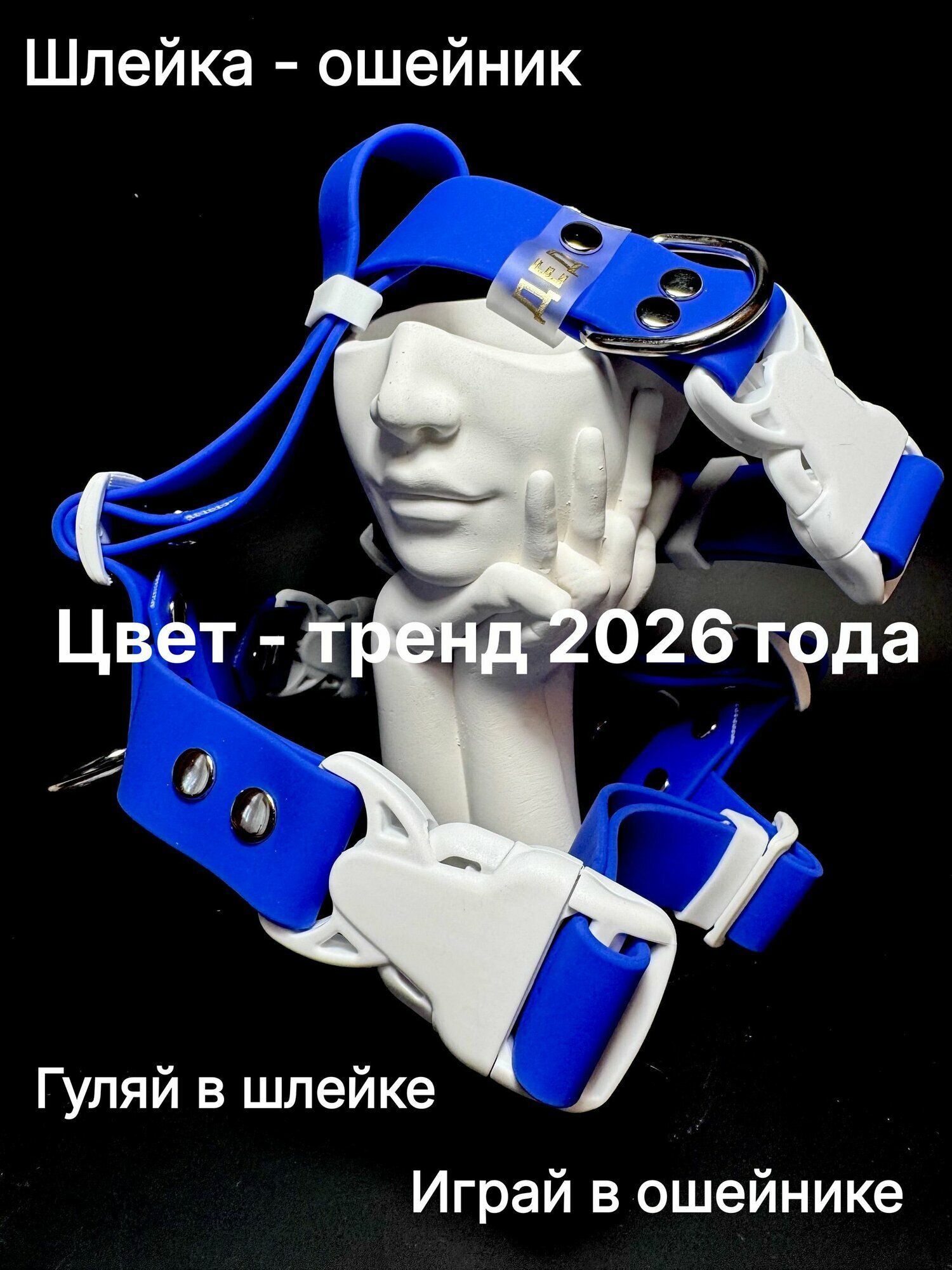 Шлейка-ошейник 2в1 трансформер для собак ручная работа (из биотана) синяя
