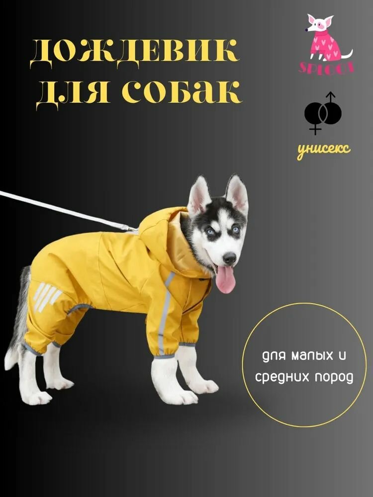 Одежда для собак дождевик, Одежда для собак, дождевик комбинезон для малых и средних пород