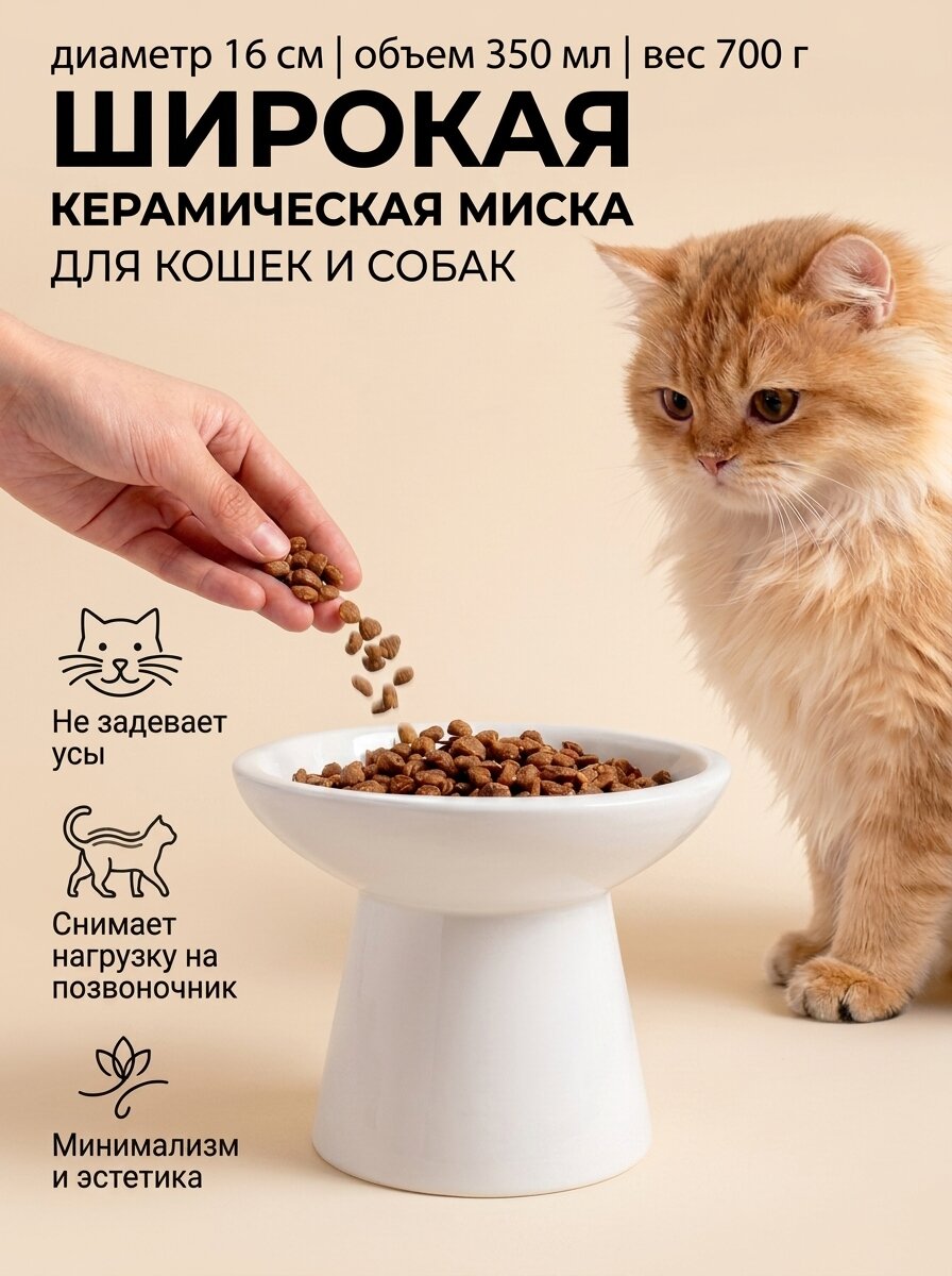 Широкая миска из керамики высокая 350 мл для котов и собак/Миска для животных анатомическая/Керамическая миска для кошек