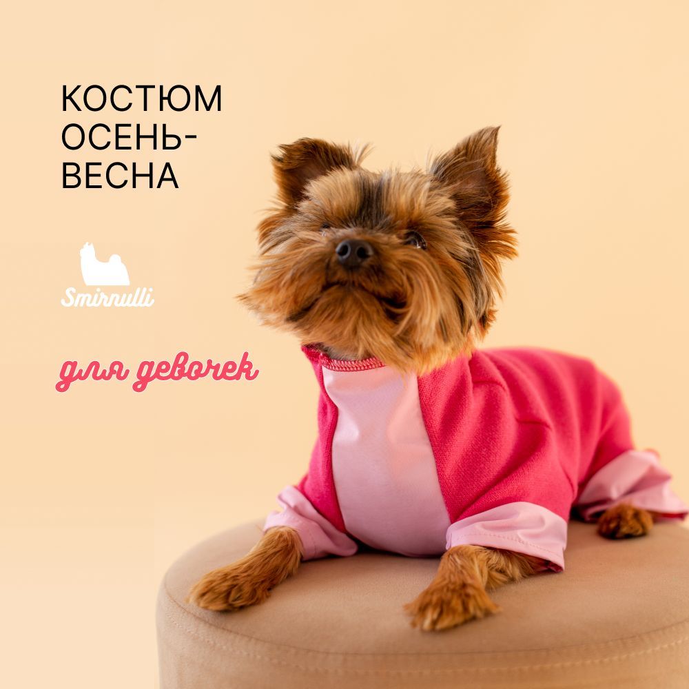 Костюм для собаки демисезонный, размер 8, для девочек, дени, SMIRNULLI