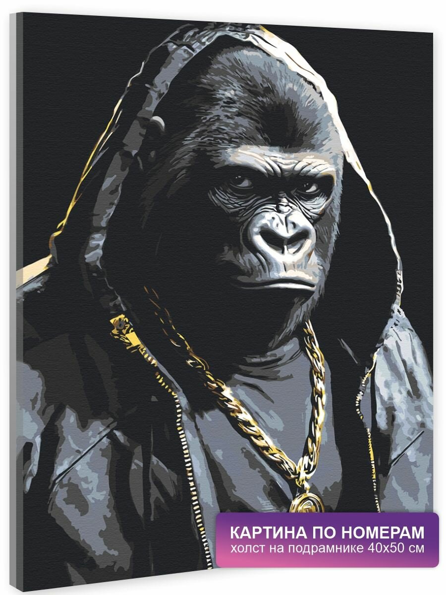 Картина по номерам на холсте с подрамником 40х50 см. Природа, животные, рыбы, птицы. "Обезьяна. Горилла. Шимпанзе", арт. 5998/