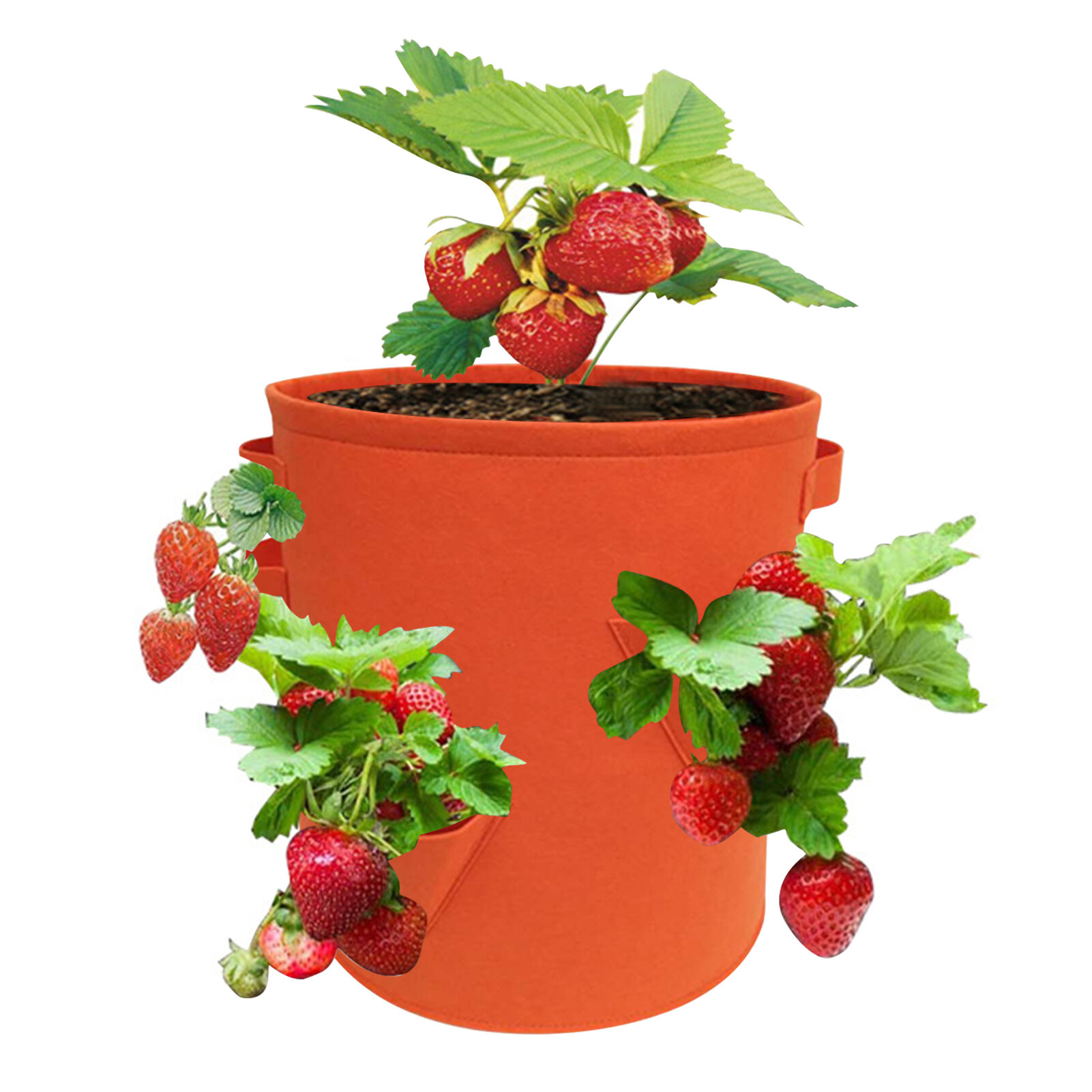 Мешки для выращивания клубники на 10 галлонов с 8 мешочками для выращивания растений