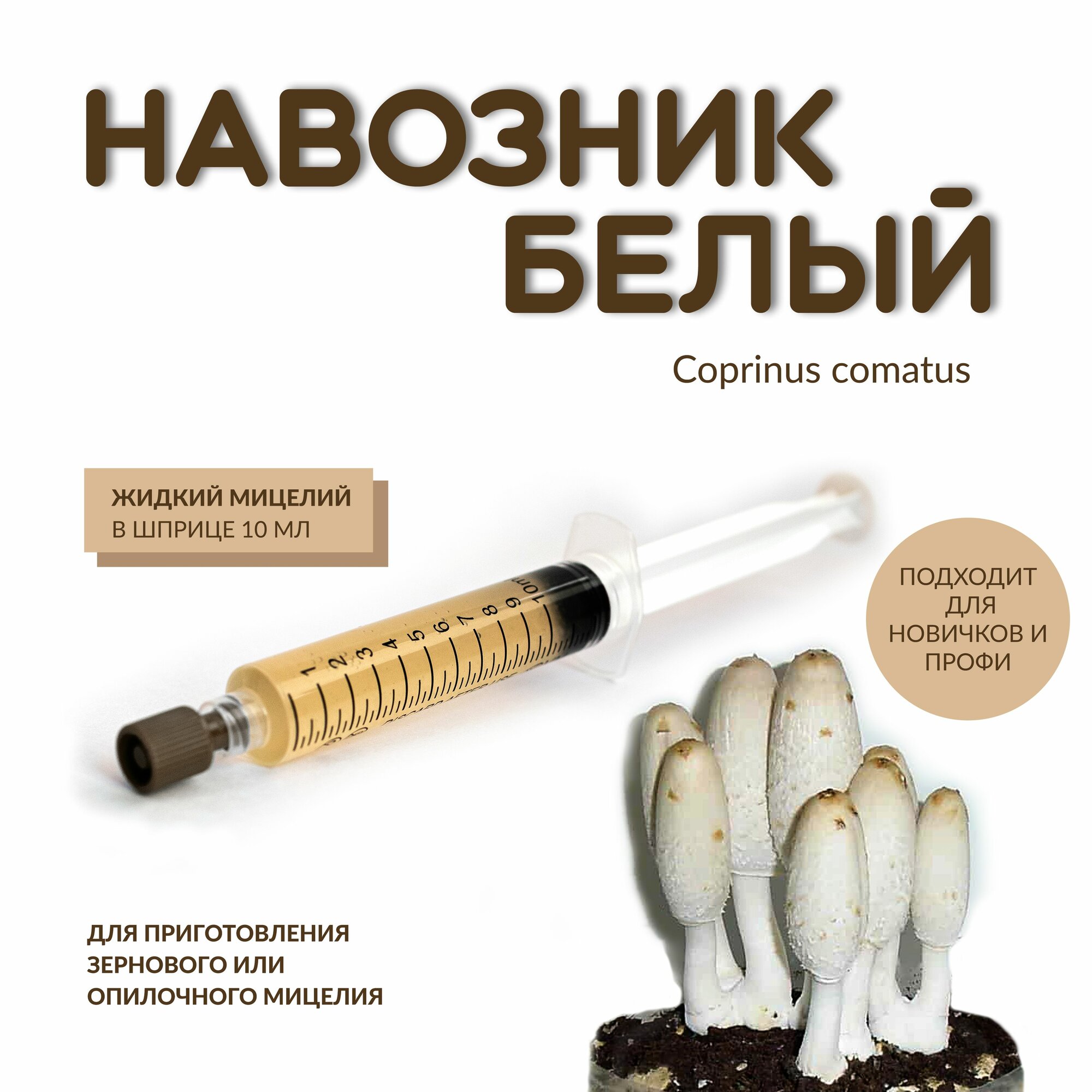 Жидкий мицелий Белого навозника