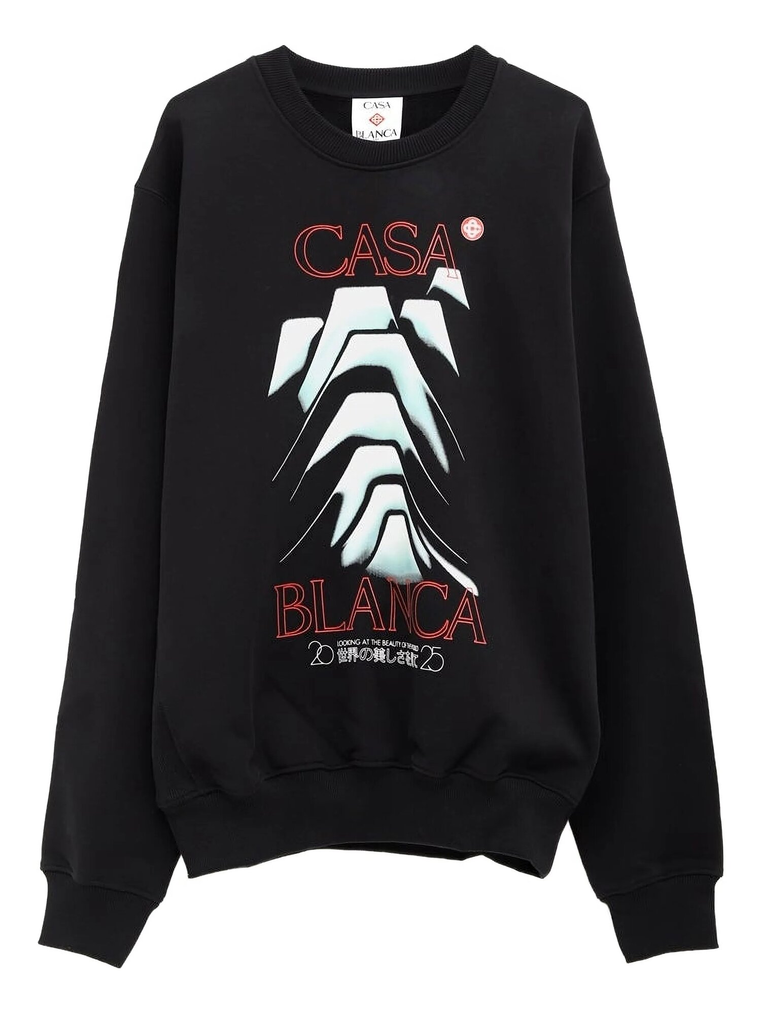 Толстовка Casablanca