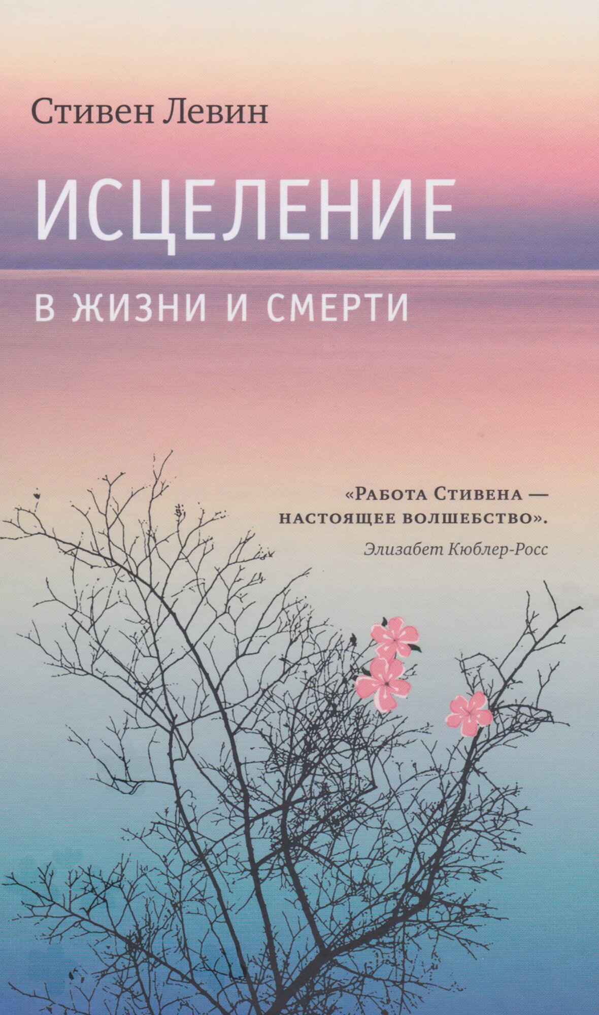 Книга "Исцеление в жизни и смерти", Автор Стивен Левин