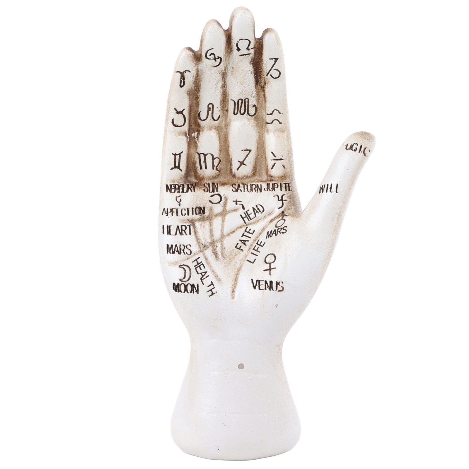 Украшения в виде скелета на Хэллоуин. Изящно вырезанные вручную реалистичные скелеты. Ужасающий реквизит для сцен на кладбище. Рука скелета.