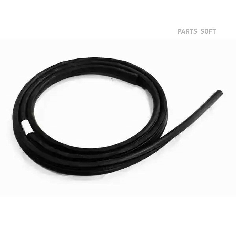 ASAM-SA 30780 кедер задней двери ()