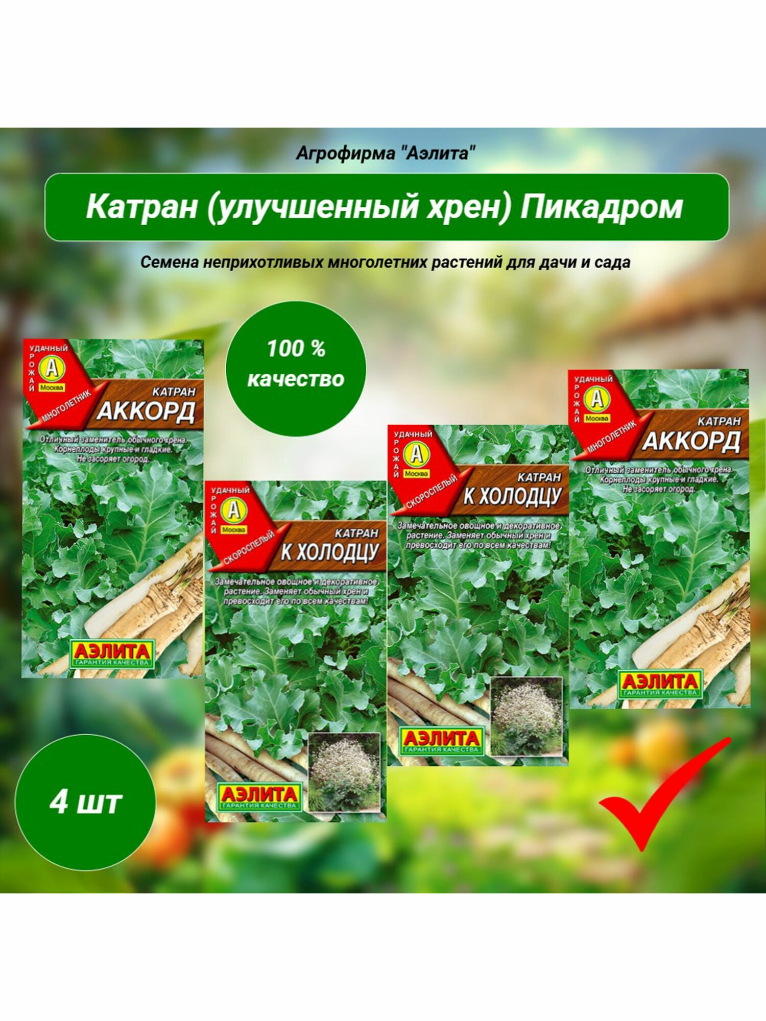 Катран (улучшенный хрен). Сорта Аккорд, К Холодцу. Набор семян 4 шт по 0,3 г. Аэлита агрофирма