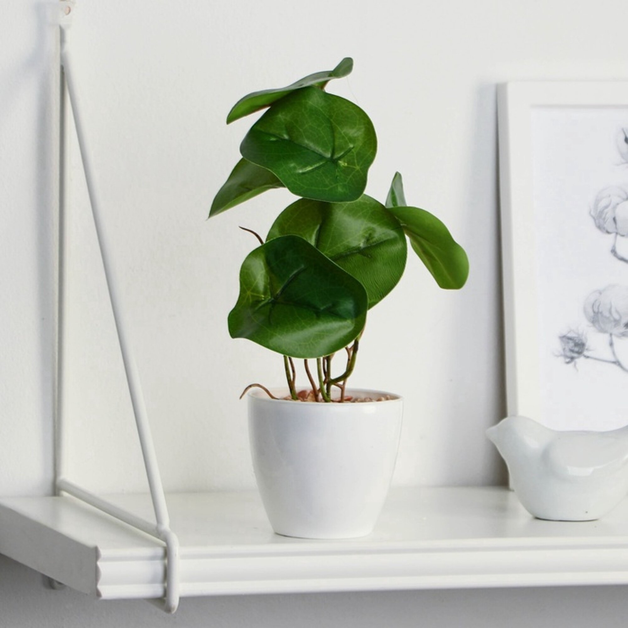 Бонсай Сима-ленд «Антуриум галант», в горшке, пластик, зеленый, 7,5×20 см