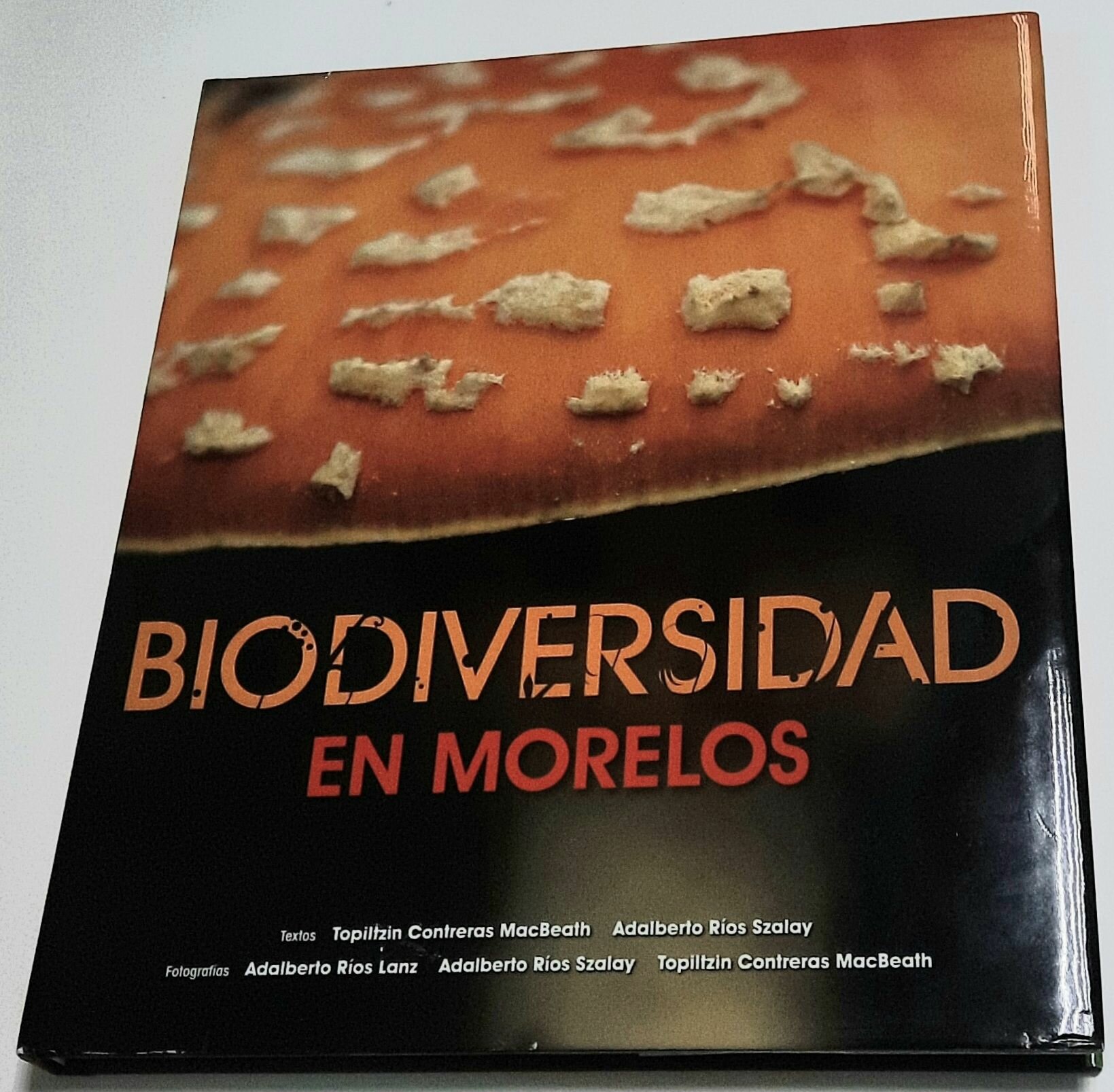 Biodirsidad en Morelos