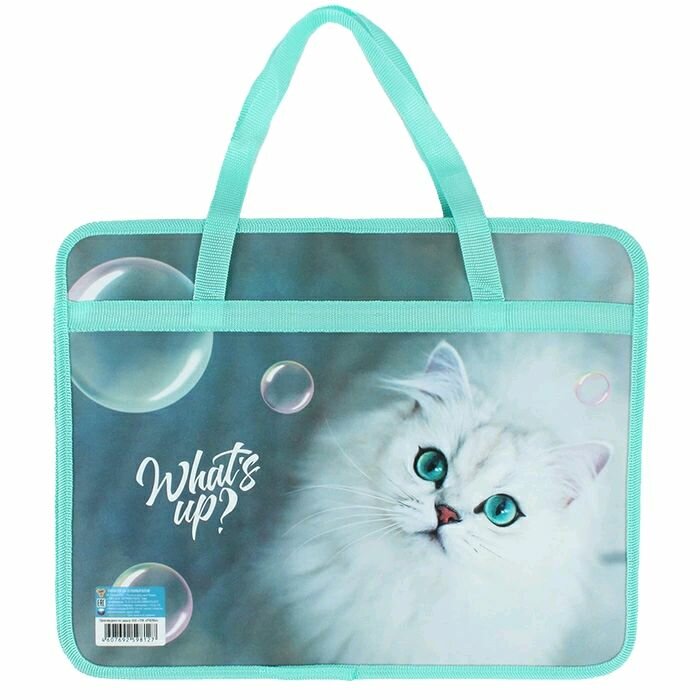 Папка детская с ручками А4 пласт. с рисунком на молнии Милый котик