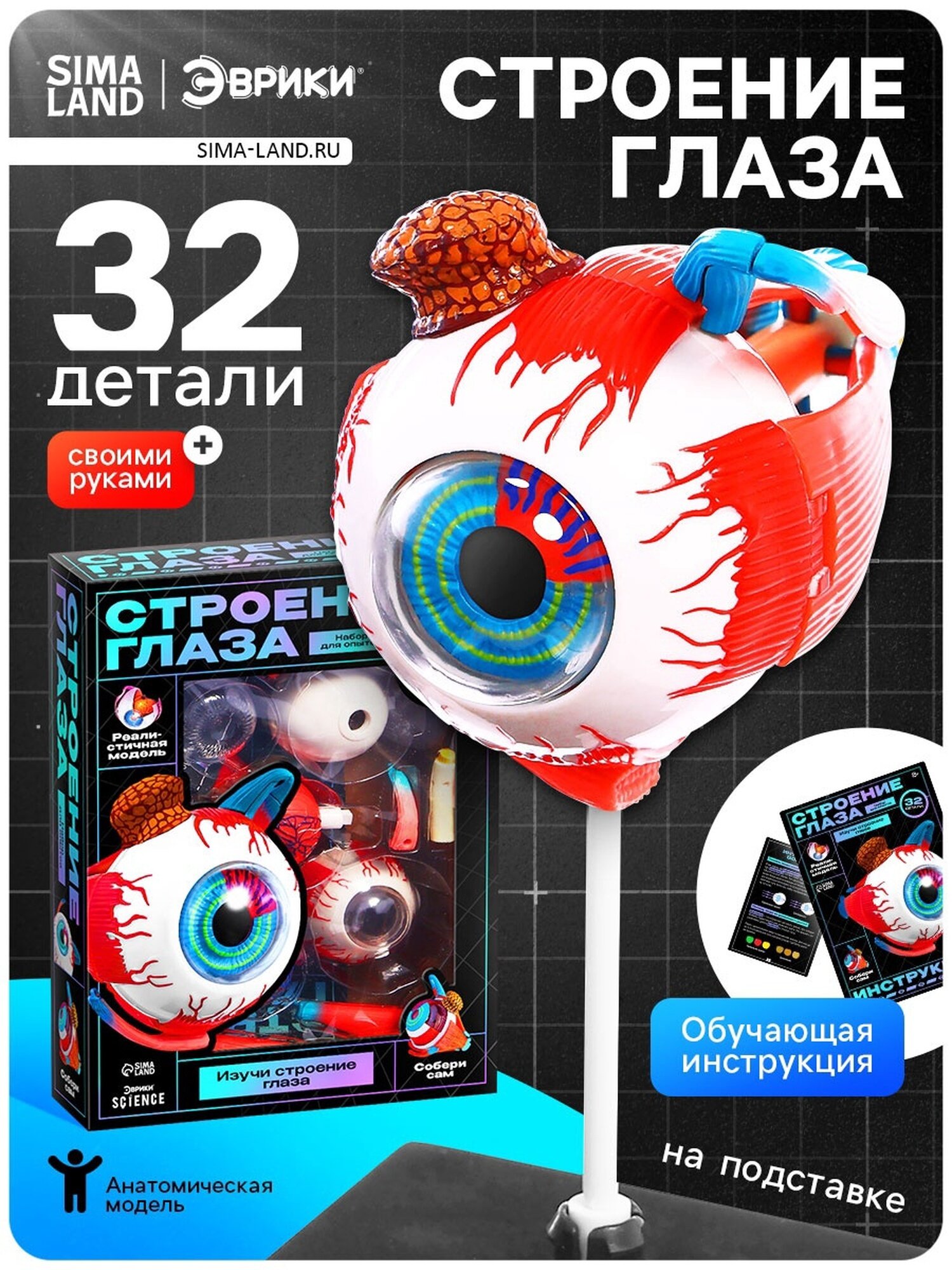 Набор для опытов "Строение глаза", анатомическая модель, эврики