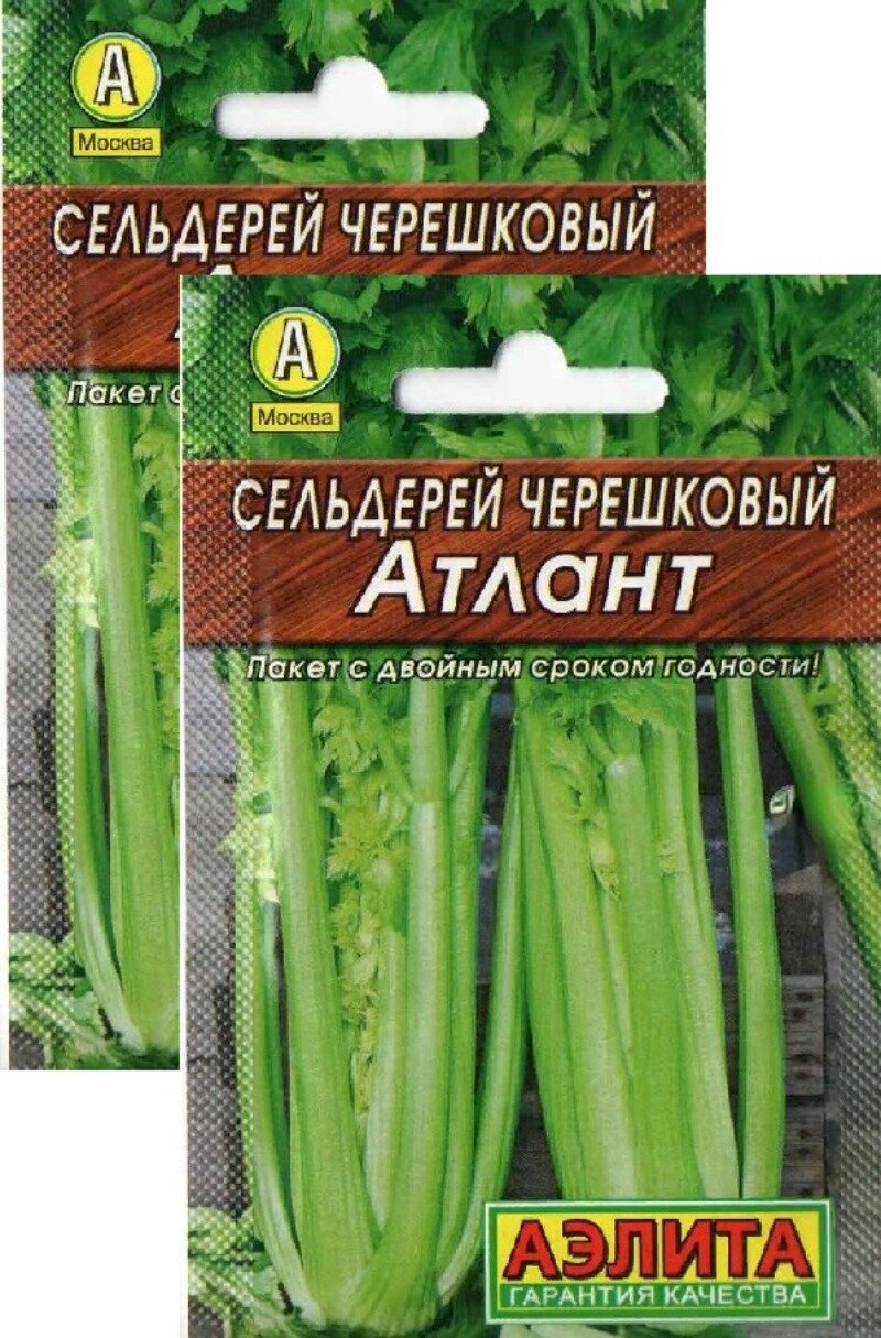 Семена Сельдерей черешковый Атлант (0,5 г), 2 пакета, Агрофирма Аэлита