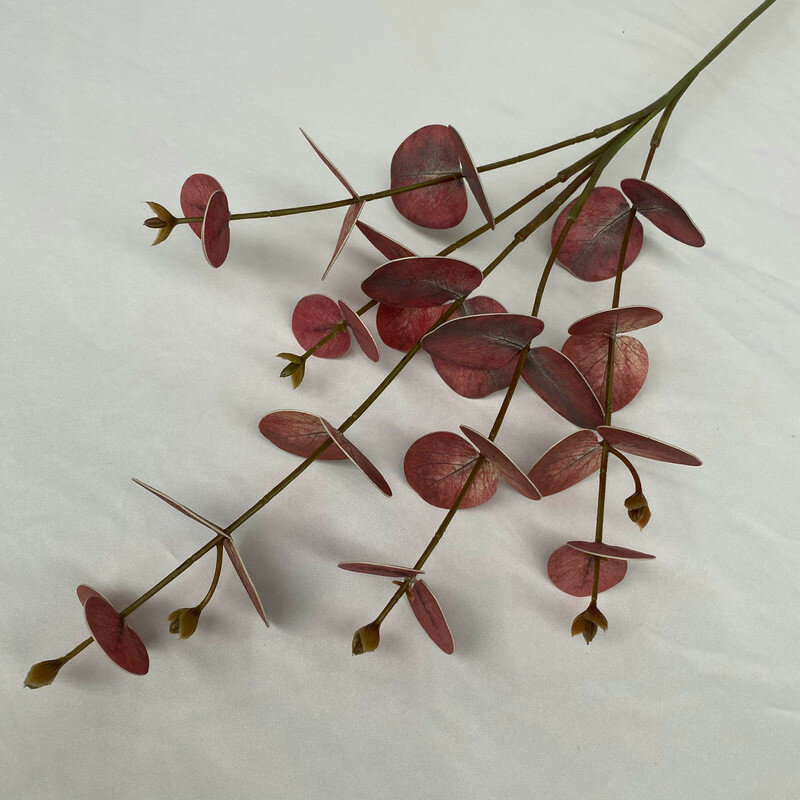 3d напечатанное эвкалиптовое денежное листо для украшения дома фотосессии стилиа