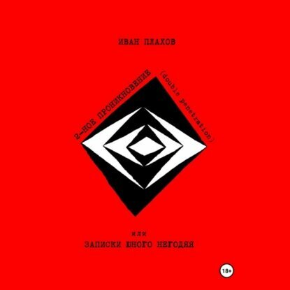 Двойное проникновение (double penetration) или записки юного негодяя [Аудиокнига]