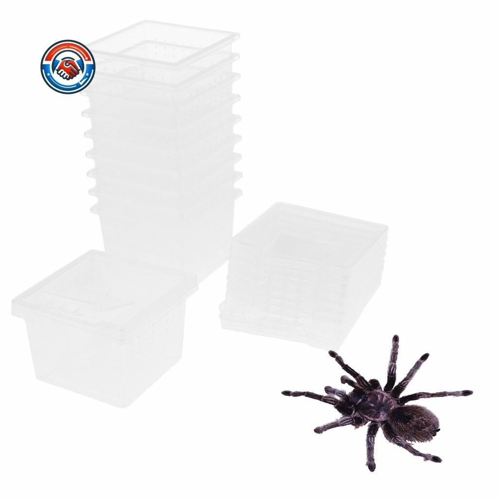 Пластиковый террариум для пауков и мелких рептилий, комплект 10 шт — портативный акриловый контейнер с вентиляцией