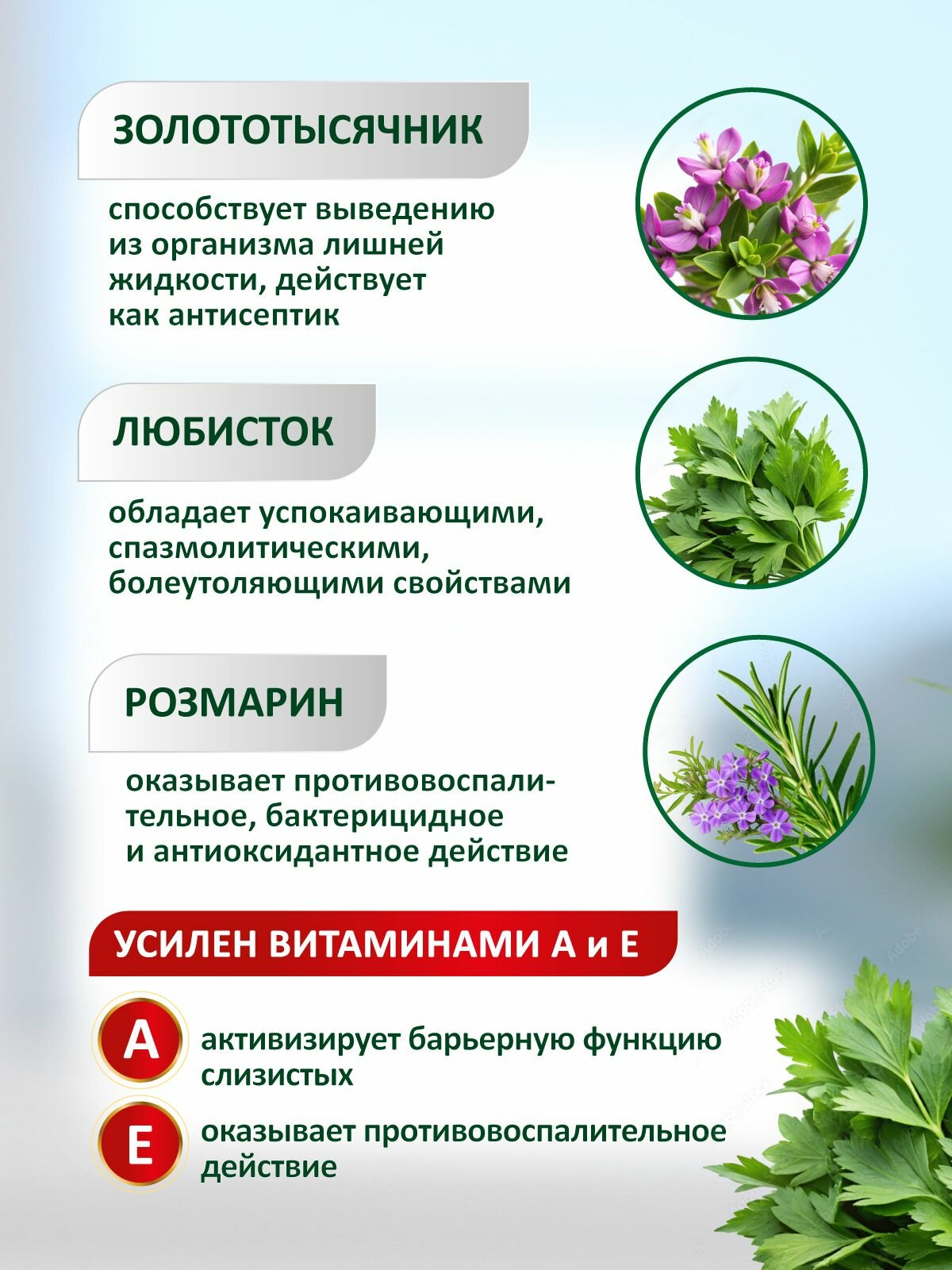Для почек Нефросан золототысячник, любисток, розмарин, витамины А и Е. БАД для беременных и кормящих, 30 капсул — фото 1