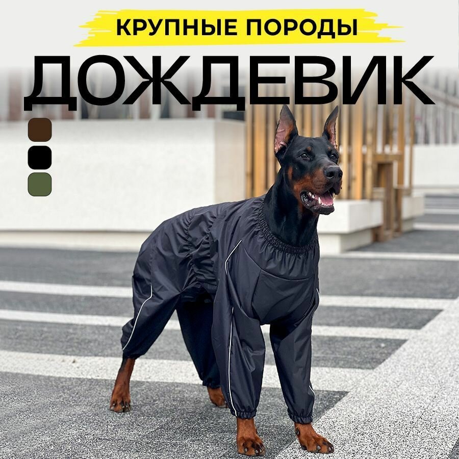 Одежда для животных — фото 1