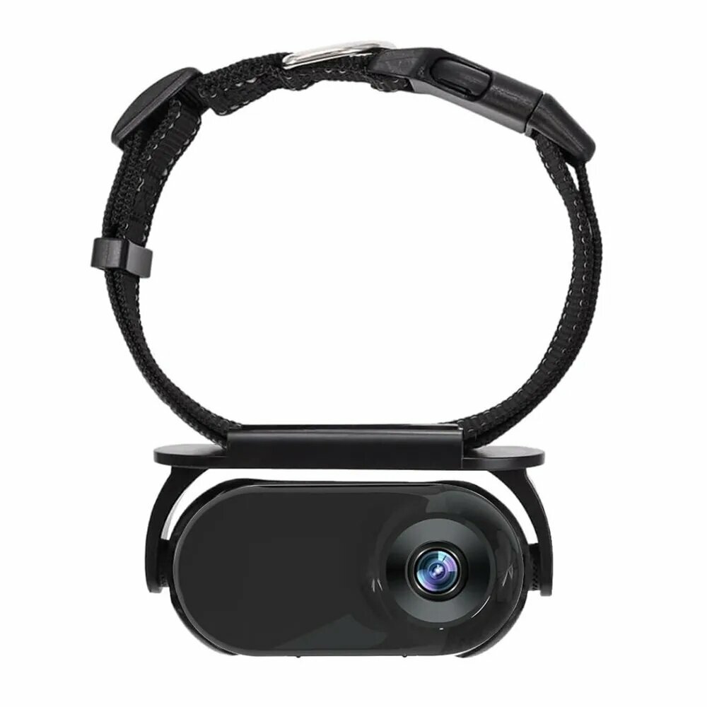 Кошачий ошейник с камерой 8 ГБ, запись видео 1080P, беспроводная камера для животных