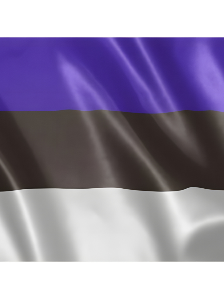 Флаг Эстонии на флажном шелке с карманом для древка (135 х 90 см)