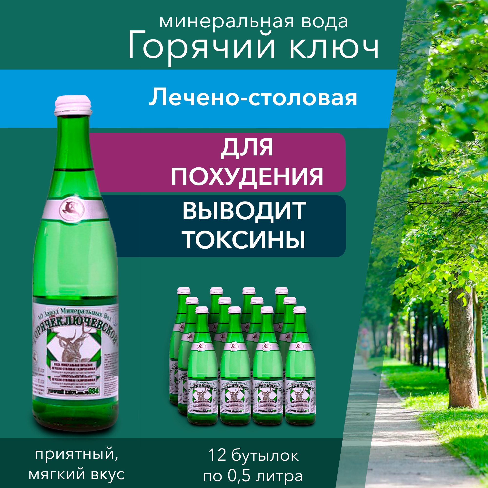 Вода Горячий Ключ Лечебно-столовая. Объем 0.5л*12 в стекле. Вода минеральная питьевая газированная, выводит токсины