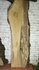 Слэб карагач К1