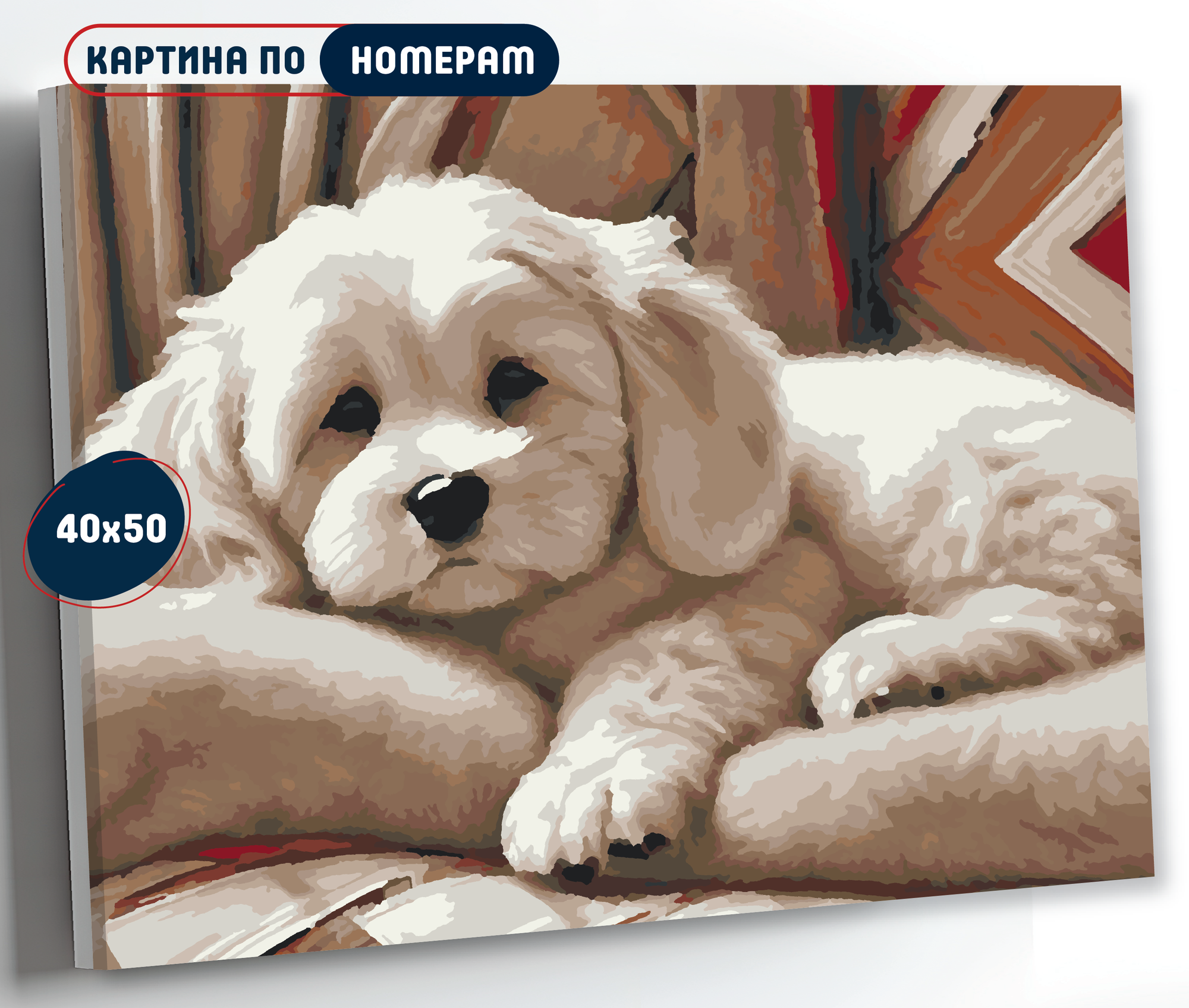 Картина по номерам "Болонка", Холст на подрамнике 40х50, набор для рисования, с животными