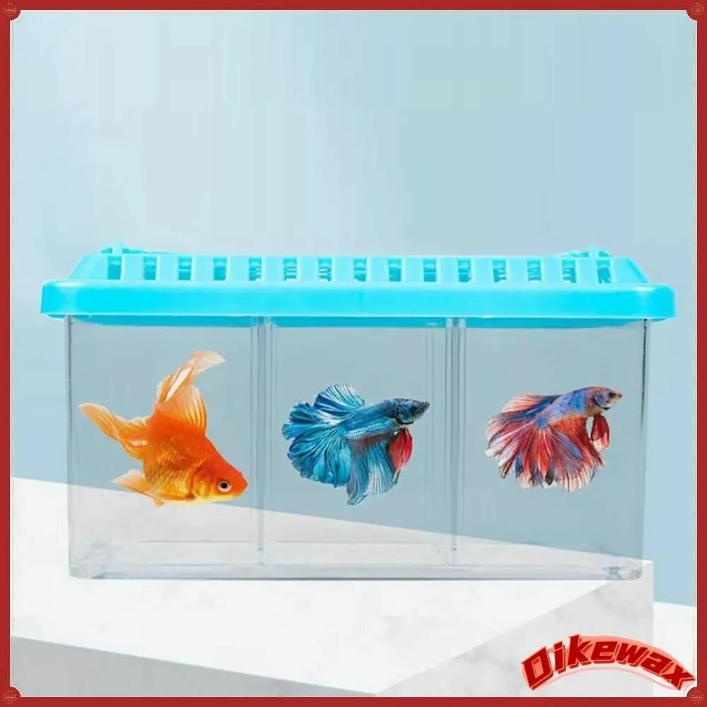 Прозрачный аквариум, с несколькими отделами, для дома и офиса