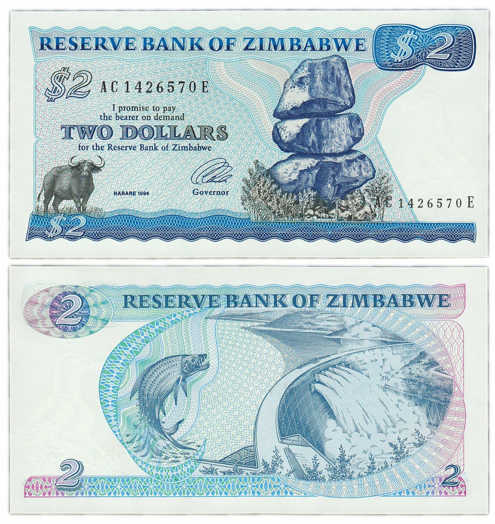 Зимбабве 2 доллара 1994 "Рыба Голиаф Карбиа ГЭС" водный знак - Птица Pick 1с